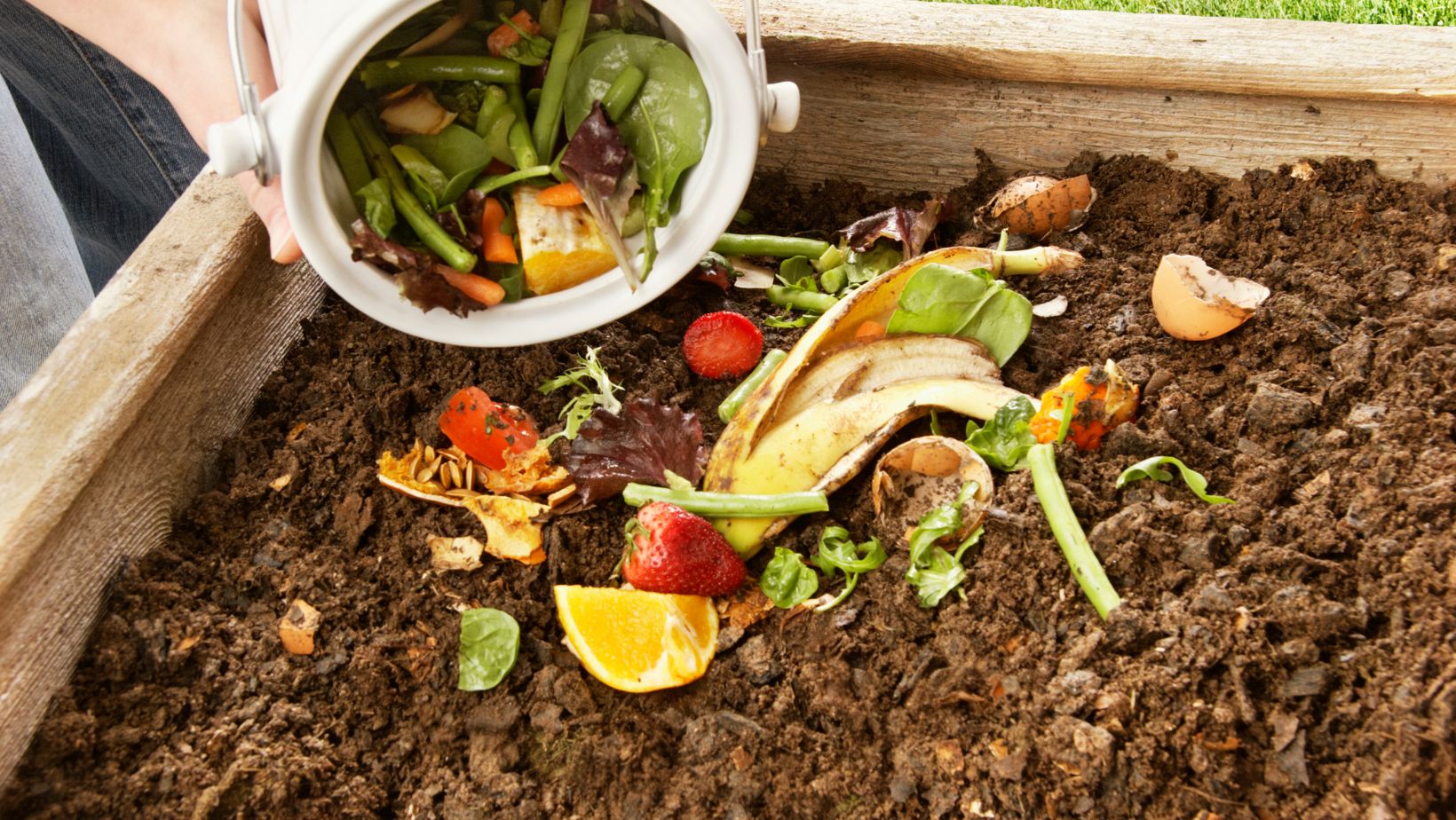 5 Rules of Composting - Colin Can Help Library