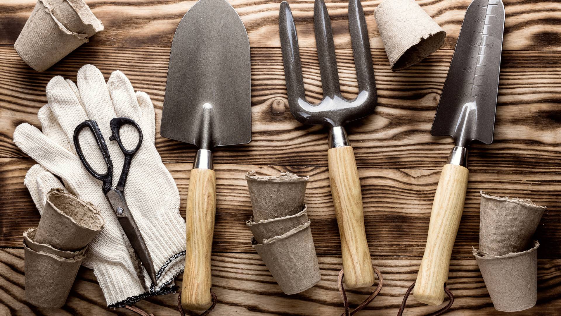 7 Essential Tools for Every Home Gardener - Colin Can Help Library