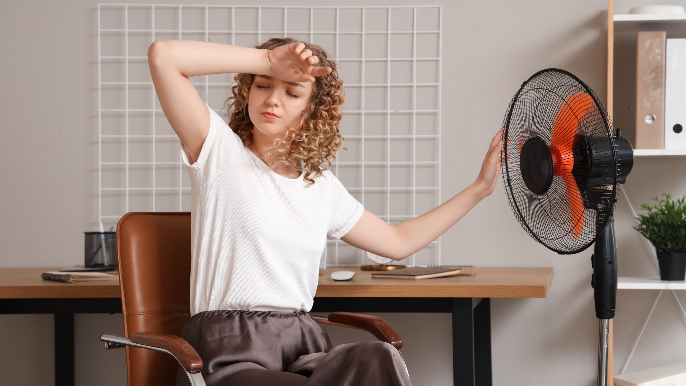 Keeping Cool During a Heat Wave on a Budget - Colin Can Help Library